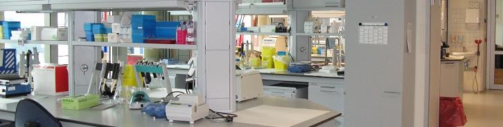 Work in the laboratory | The HSE-gateway | UiB