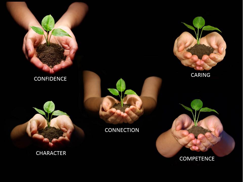 Cross-National Positive Youth Development Network (CN-PYD) | University ...