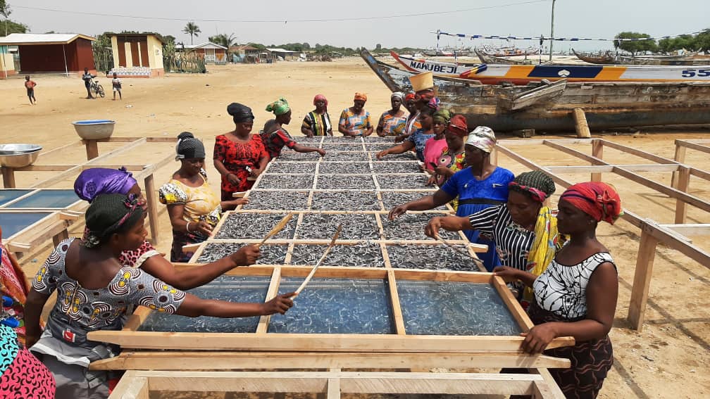 Small fish and nutrition: official launch of two projects | Research | UiB