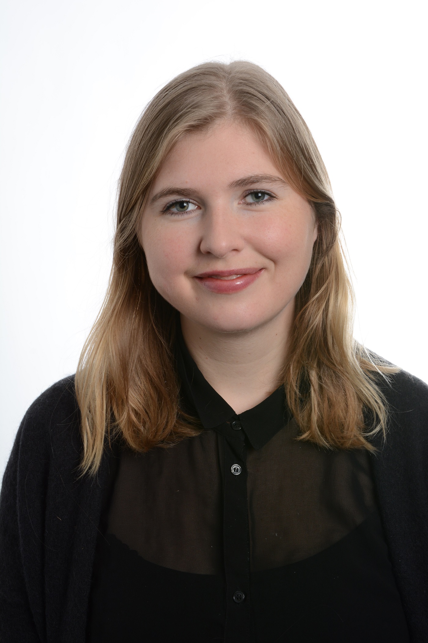 Åsta Nordø: Opinion Stability in Representative Democracies: making a ...
