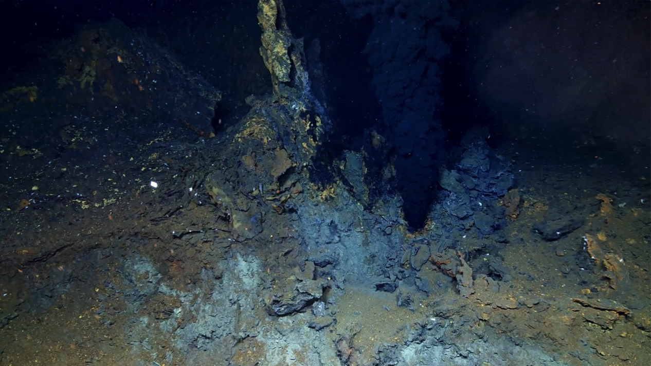 Deep-sea biology | Deep-sea biology | UiB