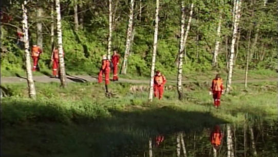 Baneheia-saken. To historier, en sannhet? | Strafferettens fortellinger ...