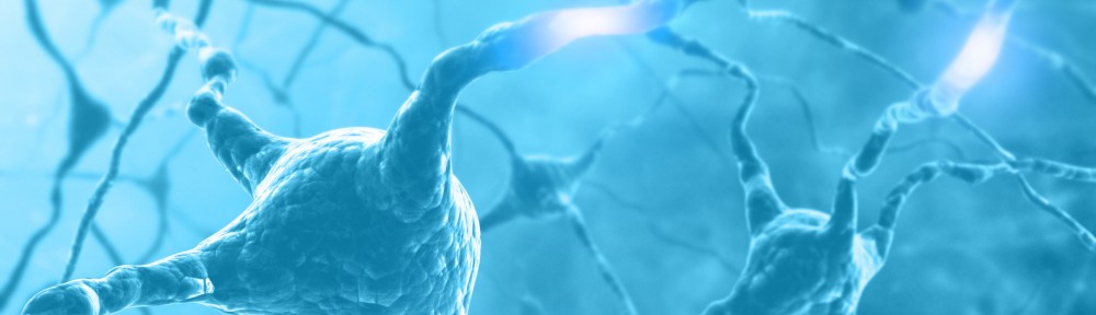 K.G. Jebsen-senter for nevropsykiatriske lidelser har fått forlengelse ...