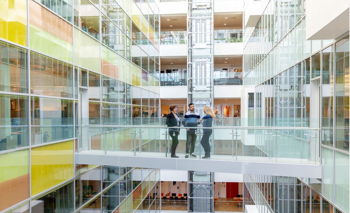 HMS-handlingsplan 2023-2026 | HMS-portalen | UiB