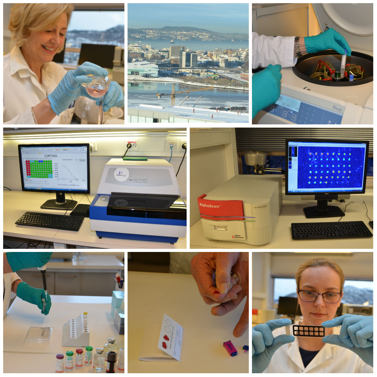 Biochemical laboratory | Department of Biological and Medical Psychology | UiB