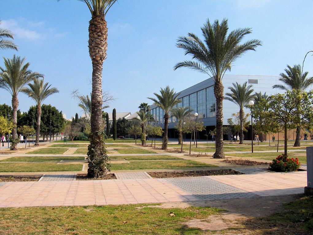 Universidad de Alicante og Institutt for økonomi (ERASMUS+ ...