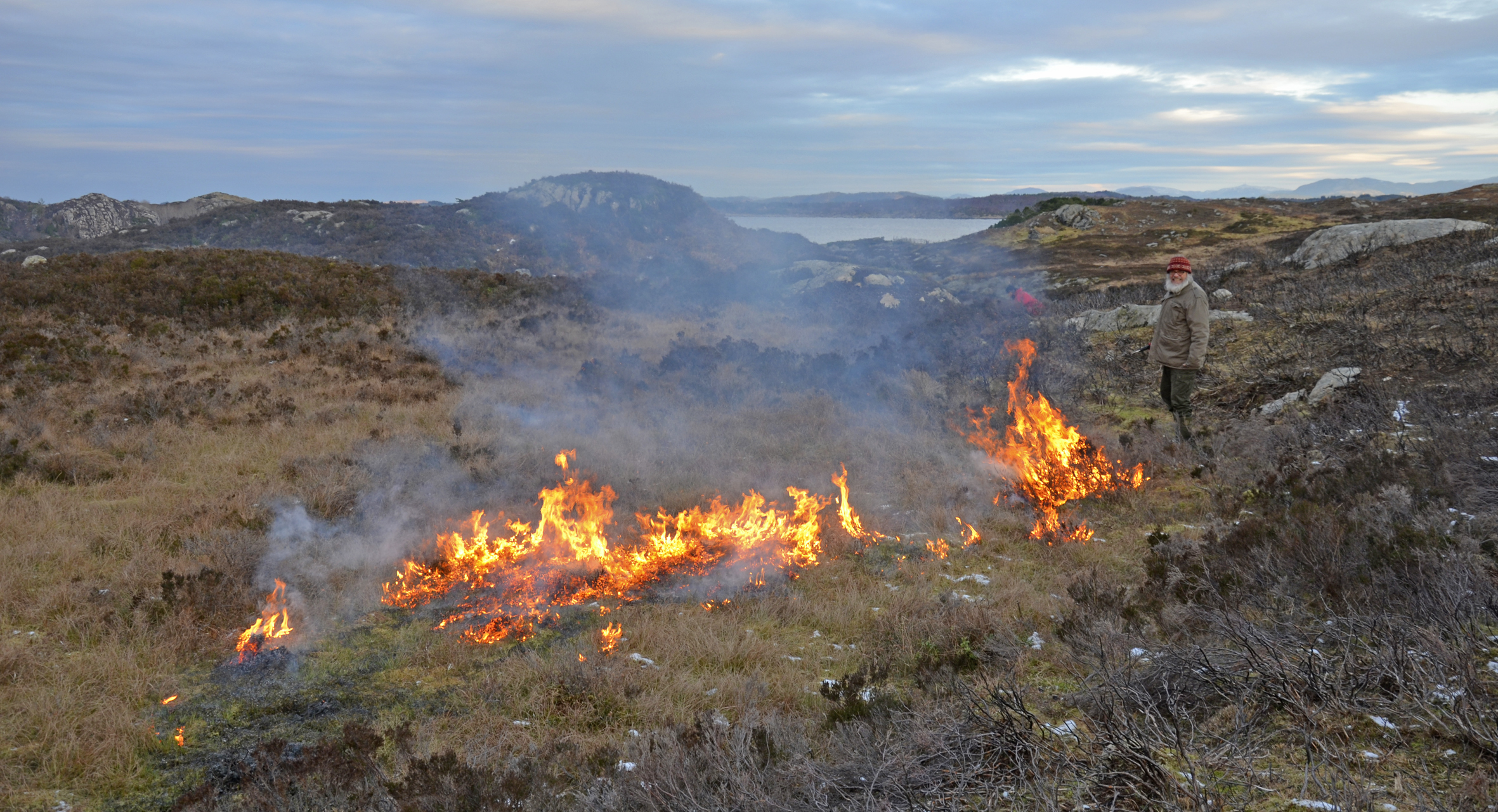 Coastal heathlands | Ecological and Environmental Change Research Group ...