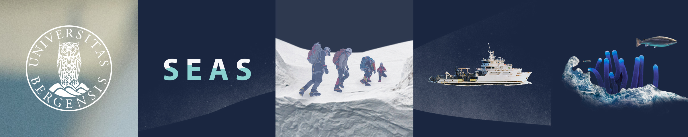 Guide for appointed evaluators of SEAS applicants | Shaping European ...