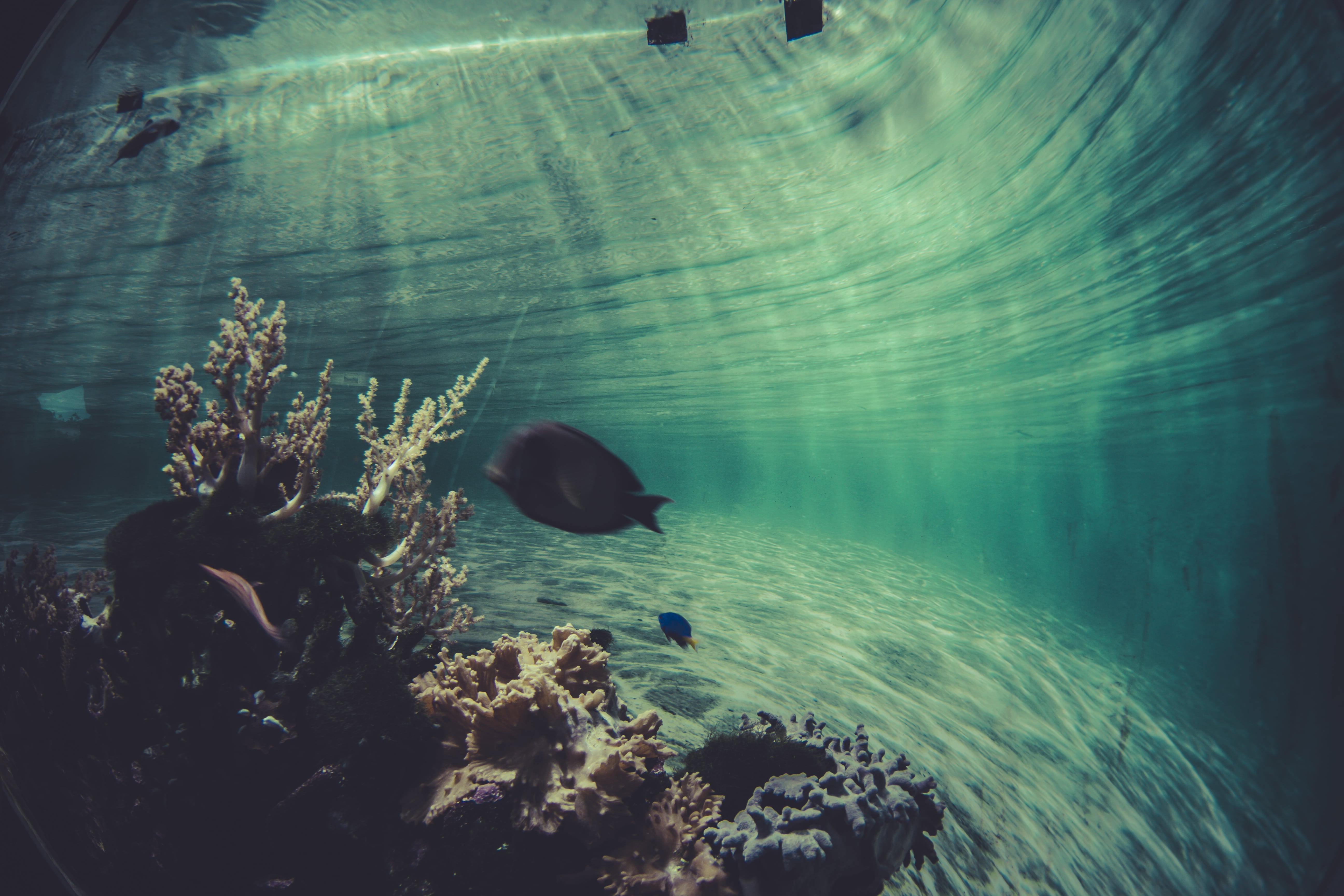 Finding the balance for a sustainable Ocean | SDG Bergen | UiB