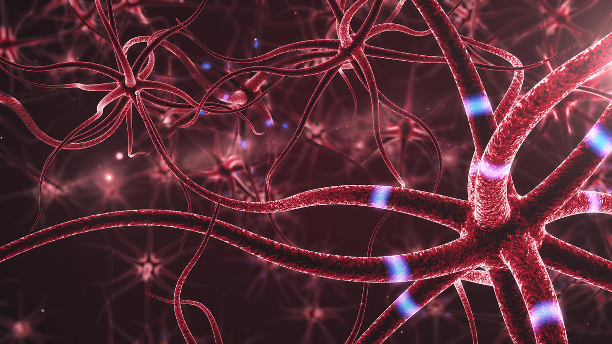 NeuroAGEgroup | University of Bergen