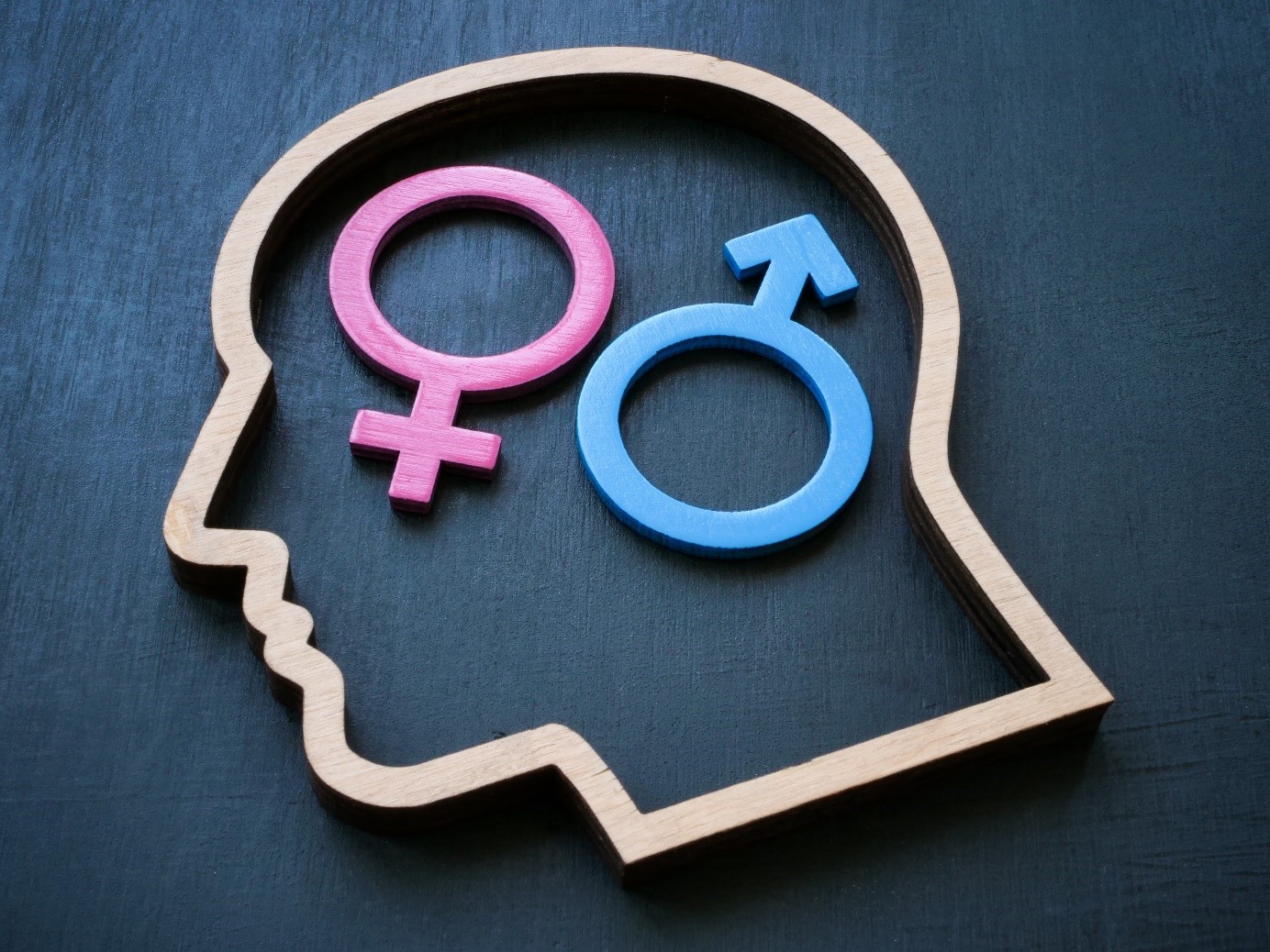 Sex Gender And Cognition Research Lab For Stimulation Of The Brain Uib
