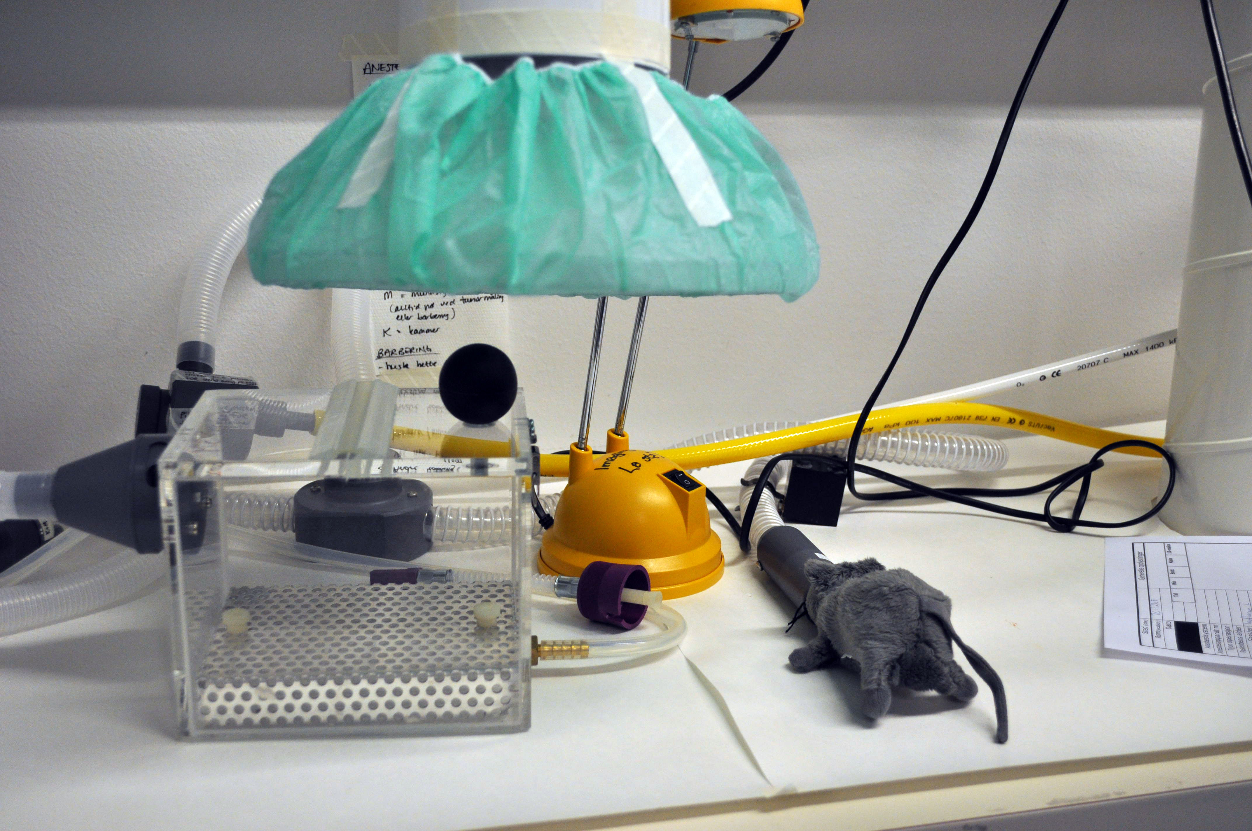 Reservation of surgeries, laboratories, etc.. | The Laboratory Animal ...