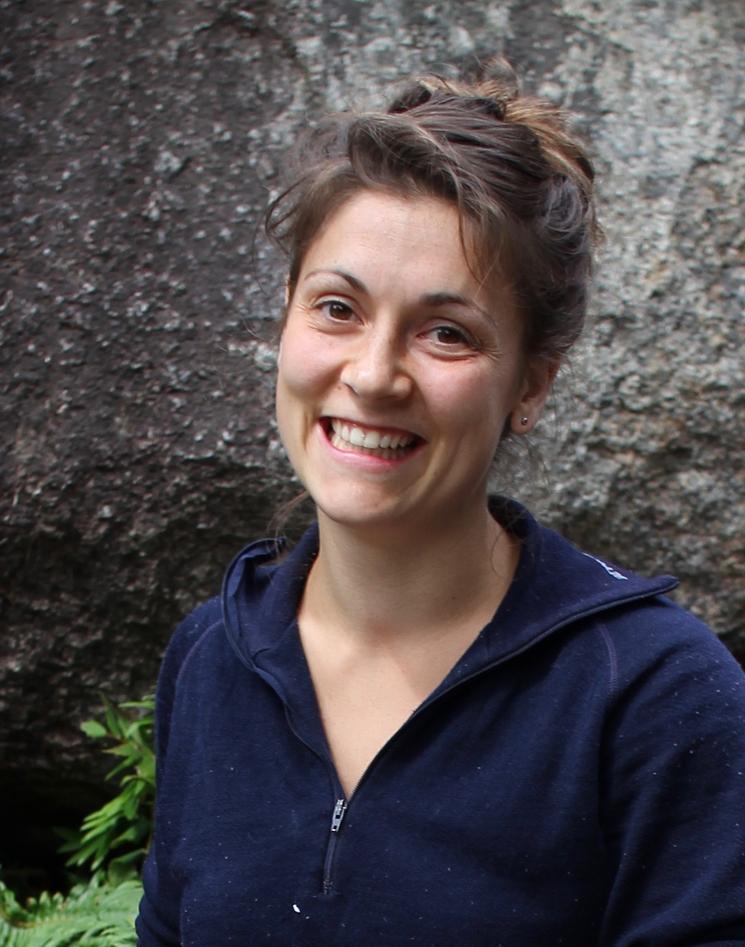 ”Hydrography in the Nordic Seas during Dansgaard-Oeschger events 8-5 ...