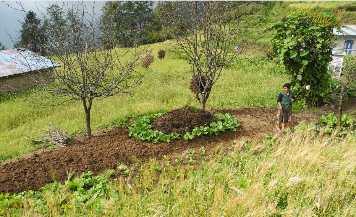 Climate Change and the Future of Himalayan Farming | Department of ...
