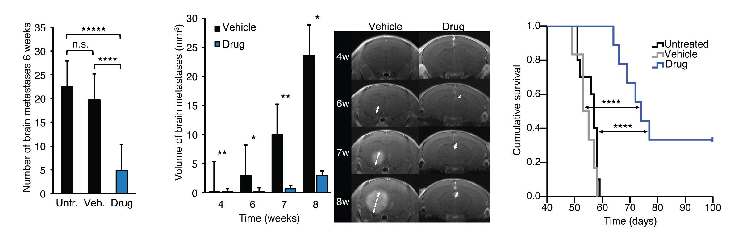 Drug Repurposing Brain Tumour Research Centre Uib