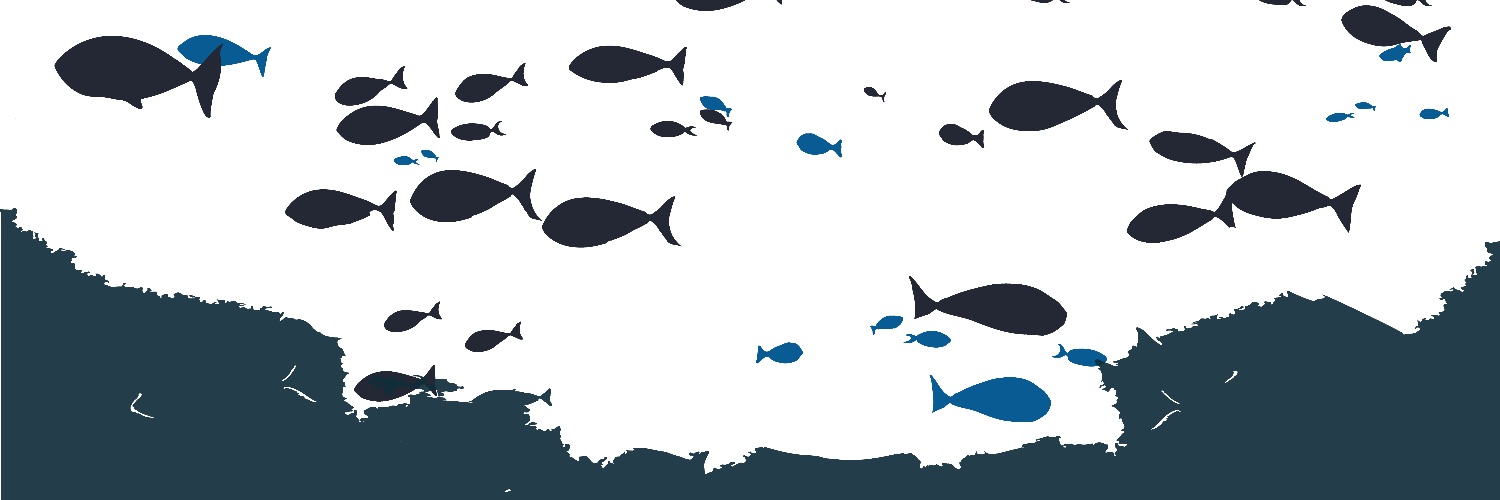 UiB making its mark at third UN Ocean Conference | Ocean | UiB