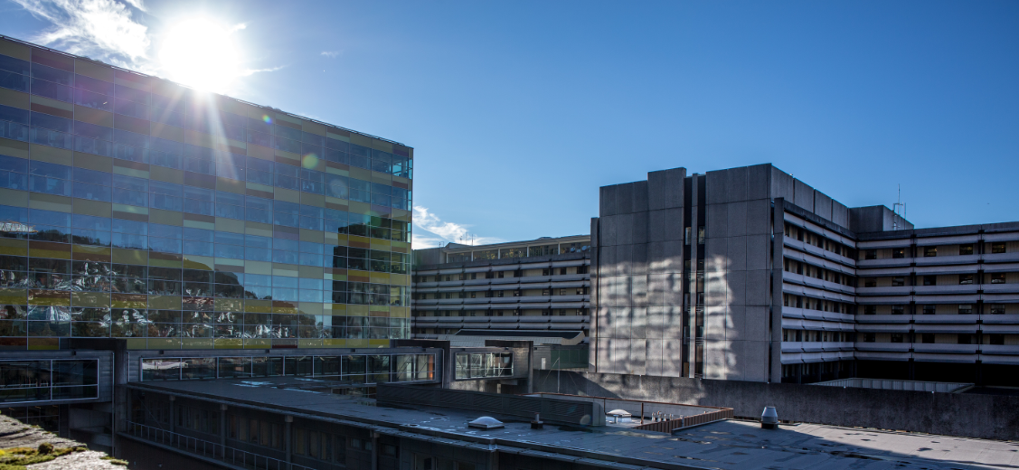 Det medisinske fakultet | Universitetet i Bergen