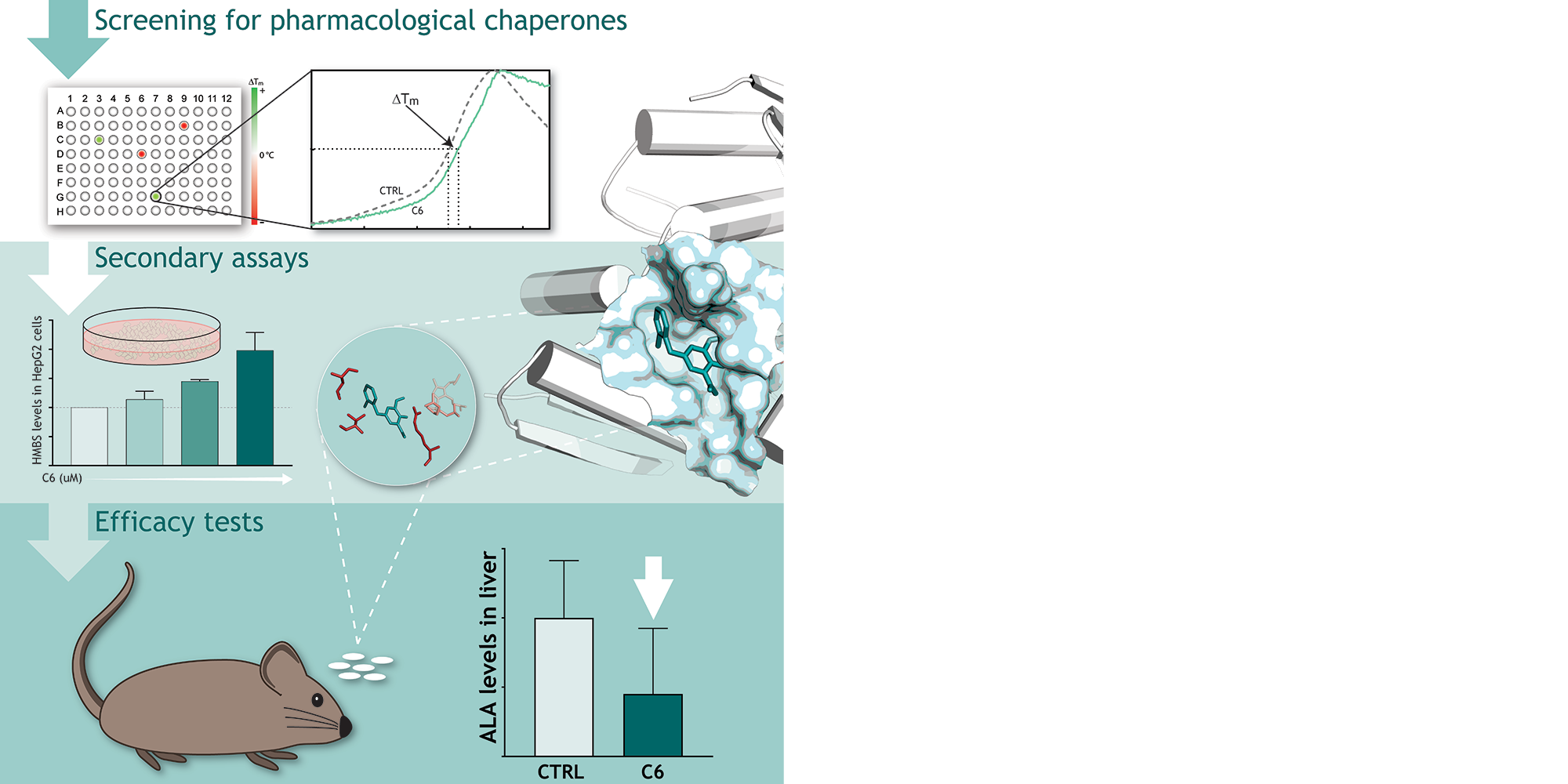 From molecule to medicine | Martinez lab | UiB