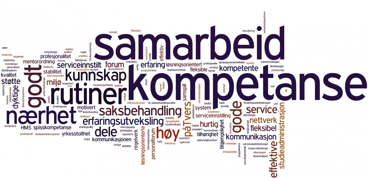 Helse, miljø, sikkerhet (HMS) og beredskap | Universitetsmuseet i ...