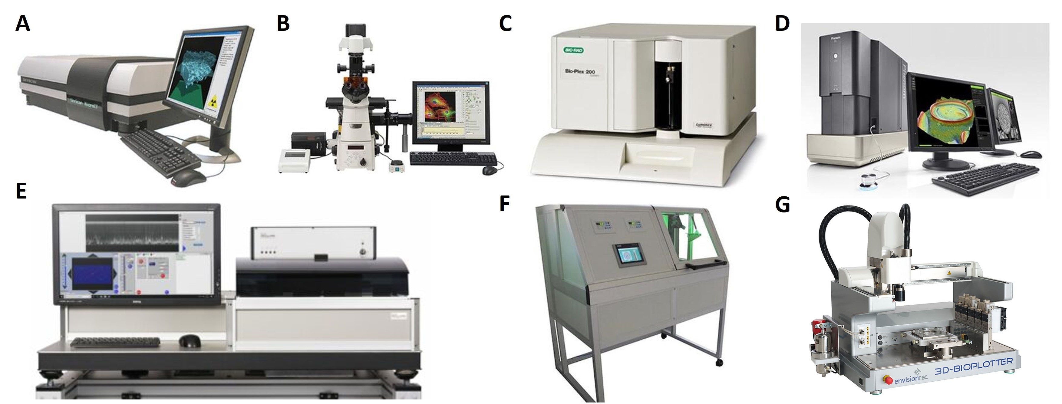 The Laboratory Unit | Center for Translational Oral Reseach (TOR) | UiB