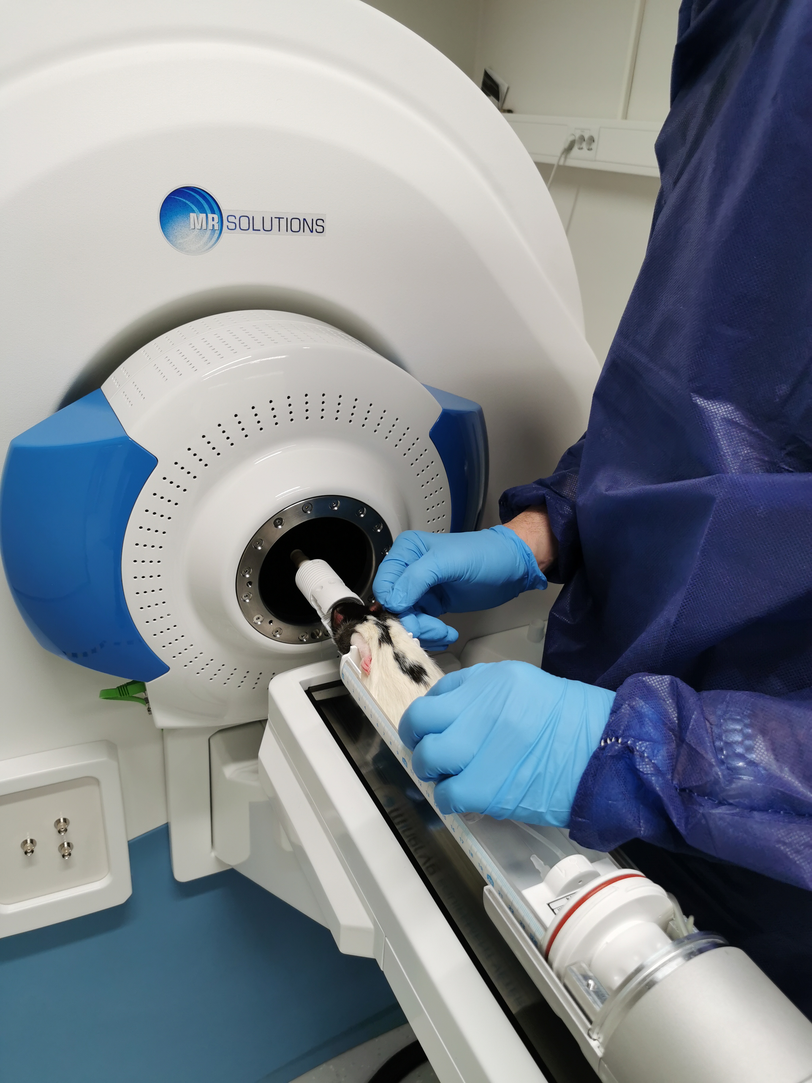 Basic course in Small Animal MRI | Molecular Imaging Center | UiB