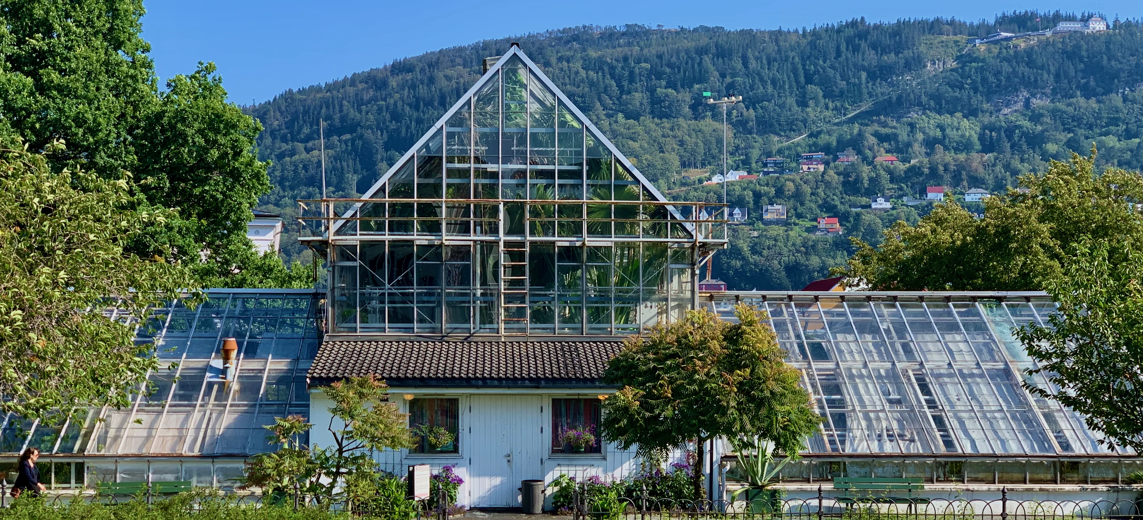 The Museum Garden Greenhouse | The University Gardens | UiB