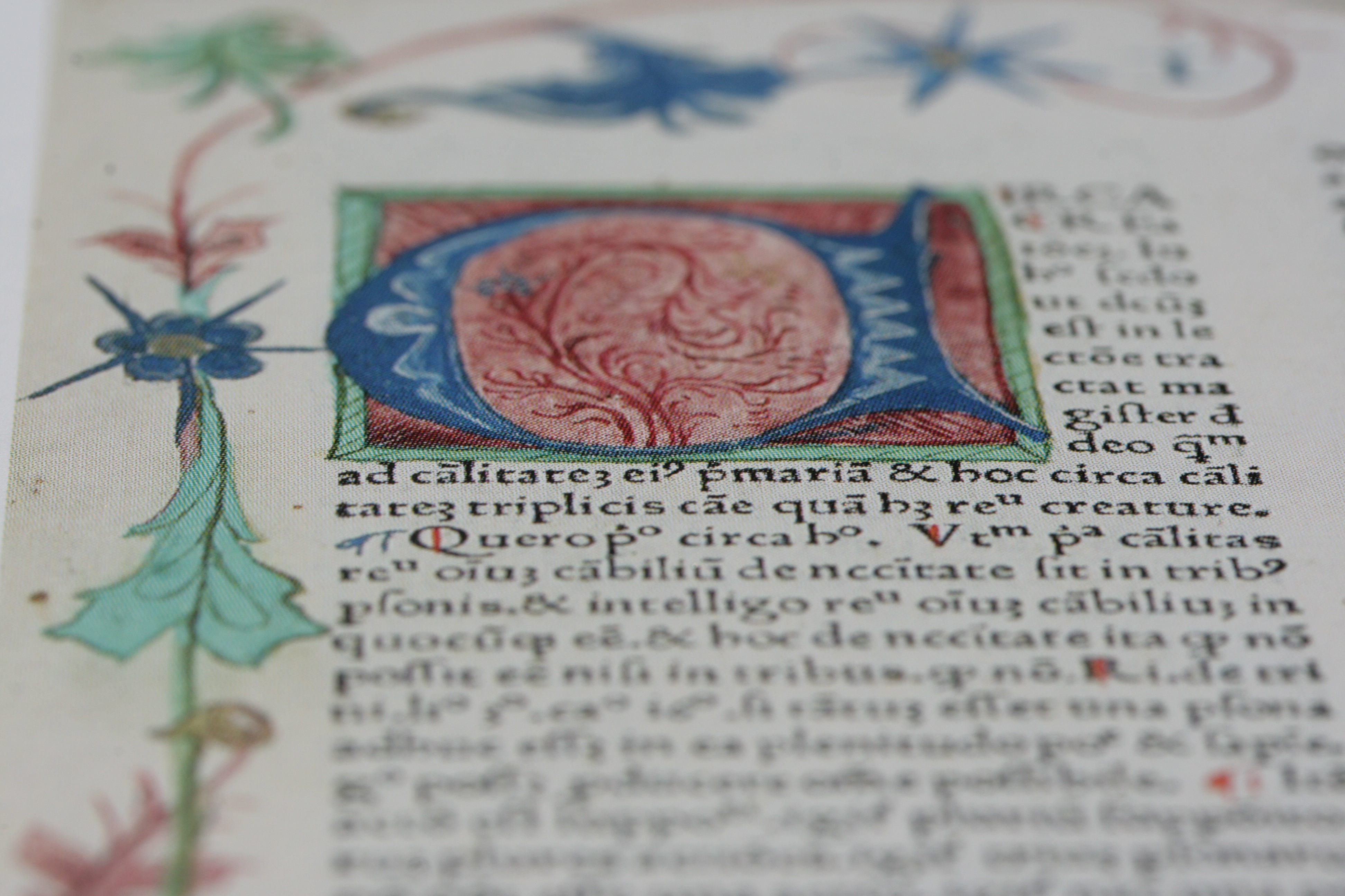 The Influence of Canon Law on Medieval Procedural Law | Research group ...