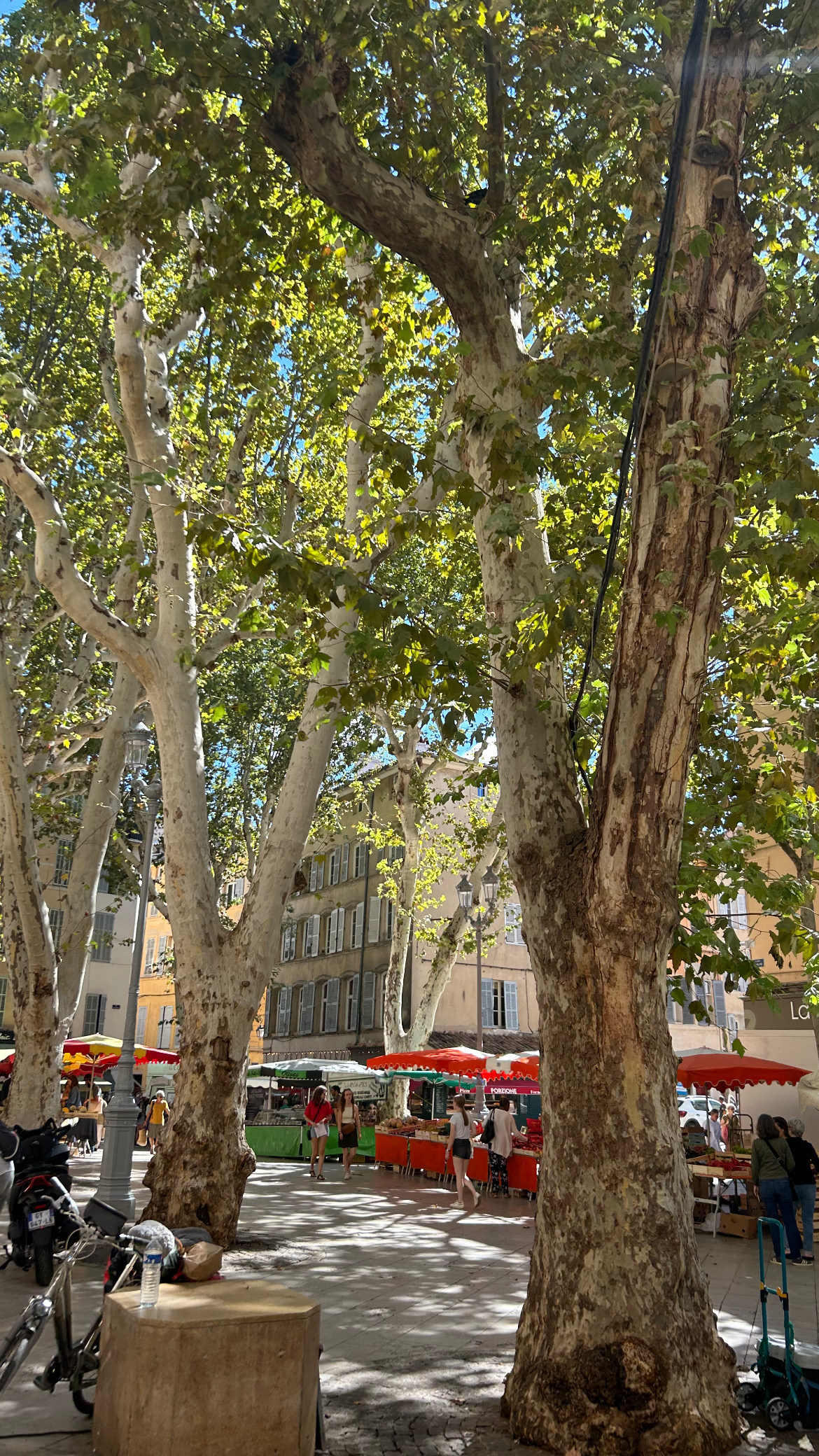 Utveksling i hjertet av Frankrike | UiB Ambassadør | UiB