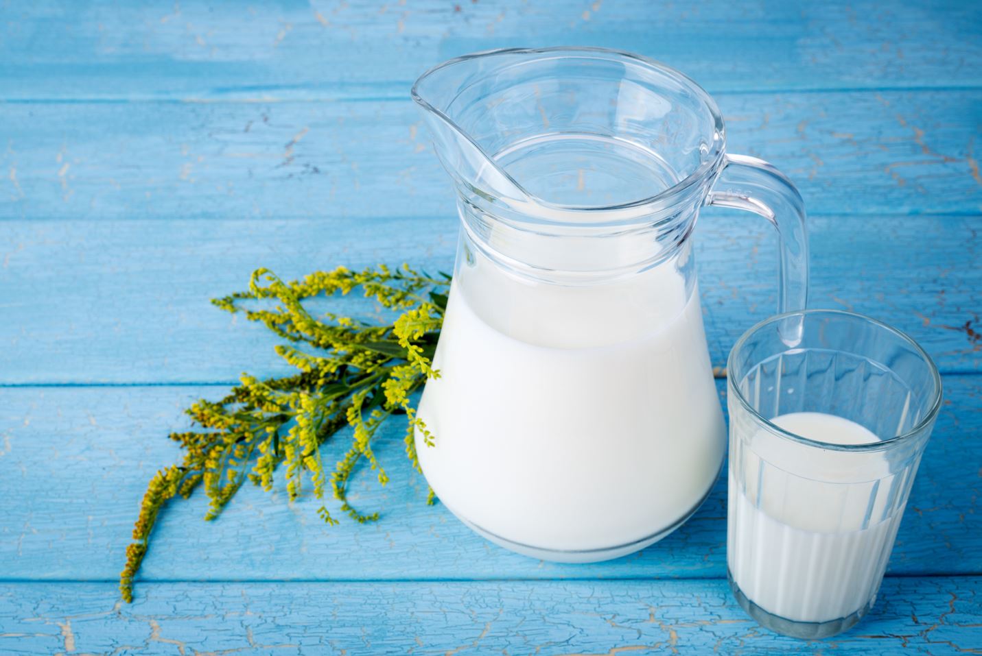 Stor test av melk: - Dette er nærmest som vann tilsatt vitaminer ...