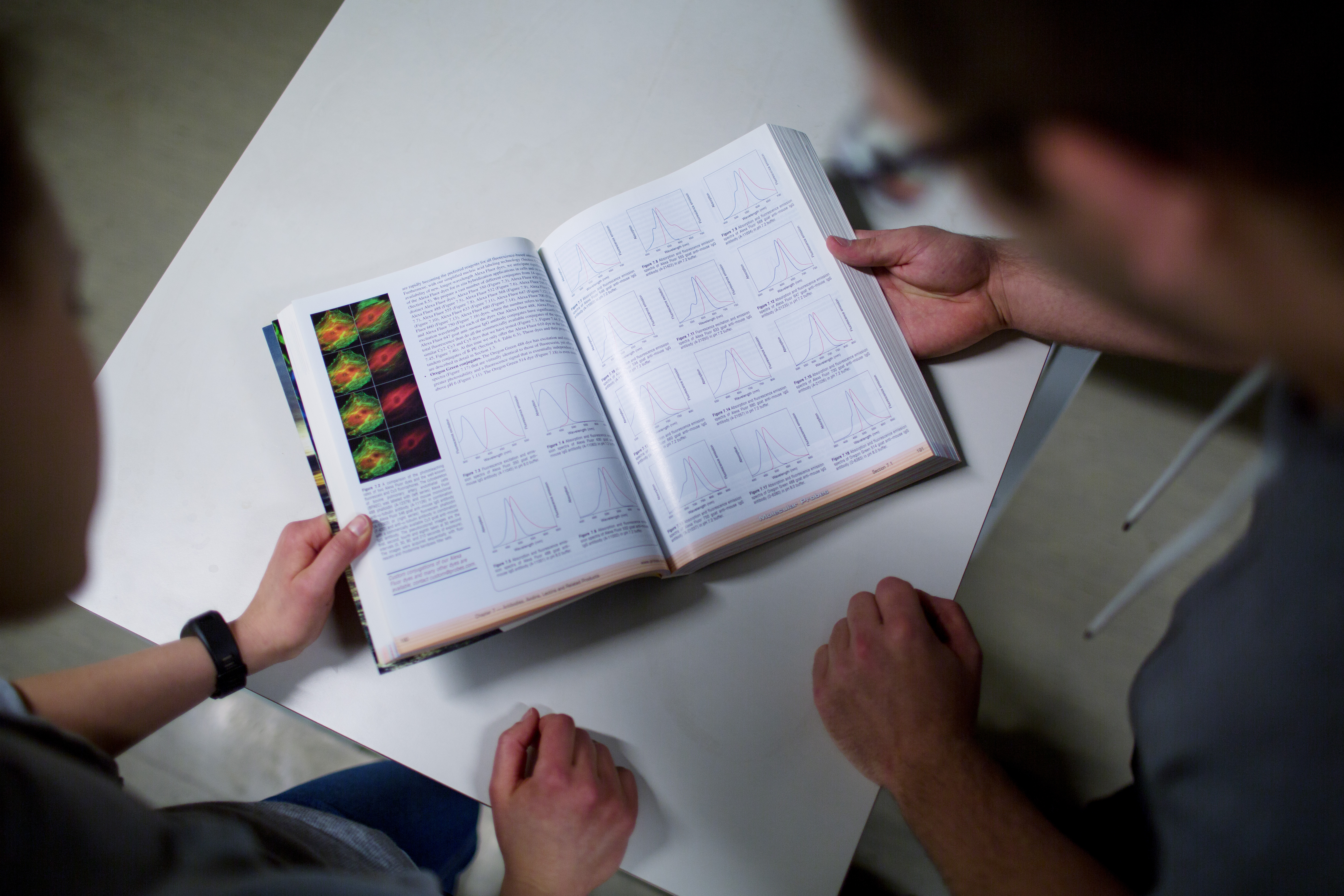 Additional studies admission/post student status | Faculty of Medicine ...