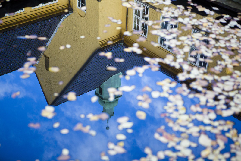 French chemistry student learning Norwegian at UiB | Norwegian Language ...