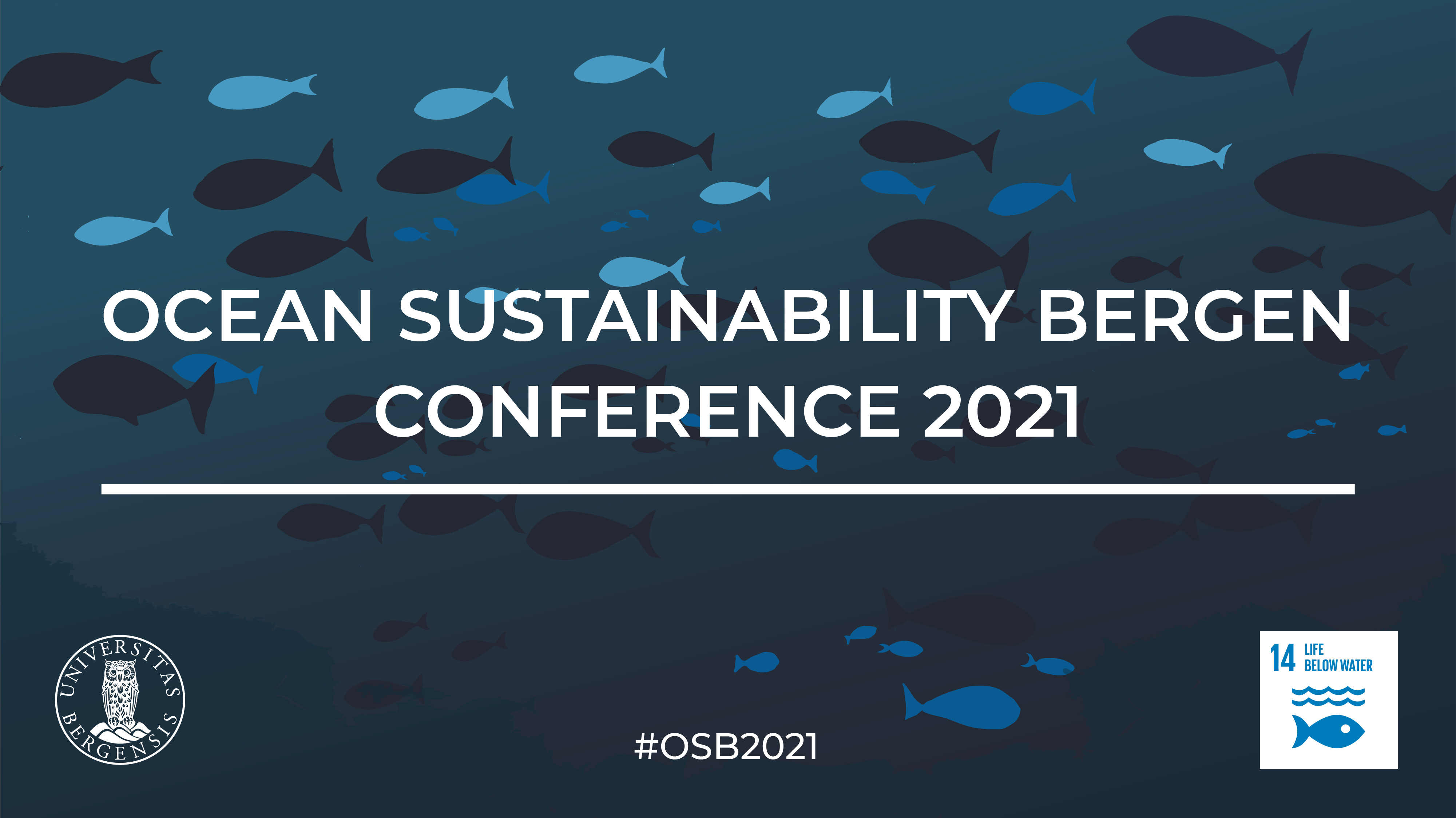 Climate change, the ocean and its people: Unprecedented challenges ...