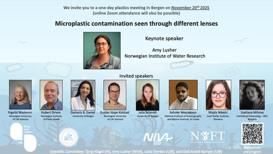 Microplastic contamination seen through different lenses | Plastics ...