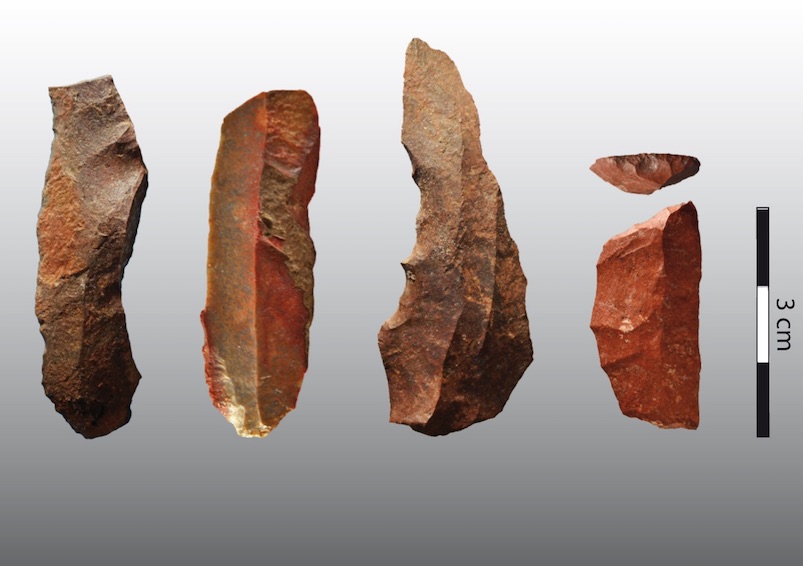 Early Hominids Tools