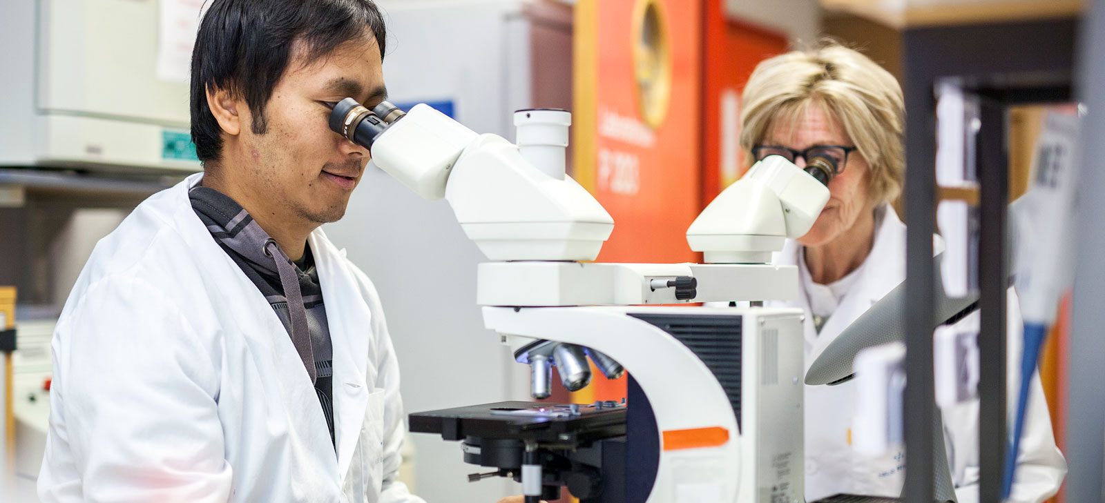 Research activities and highlights | Centre for Cancer Biomarkers CCBIO ...