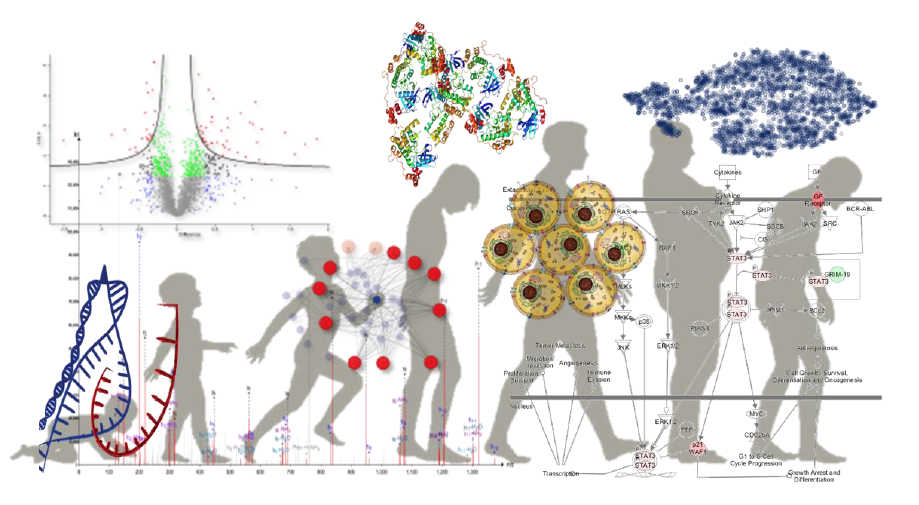 Analyzing Complex Biomedical Data To Improve Patient Care Department Of Informatics Uib