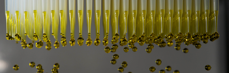 Compound screening | Biophysics, Structural Biology and Screening (BiSS ...