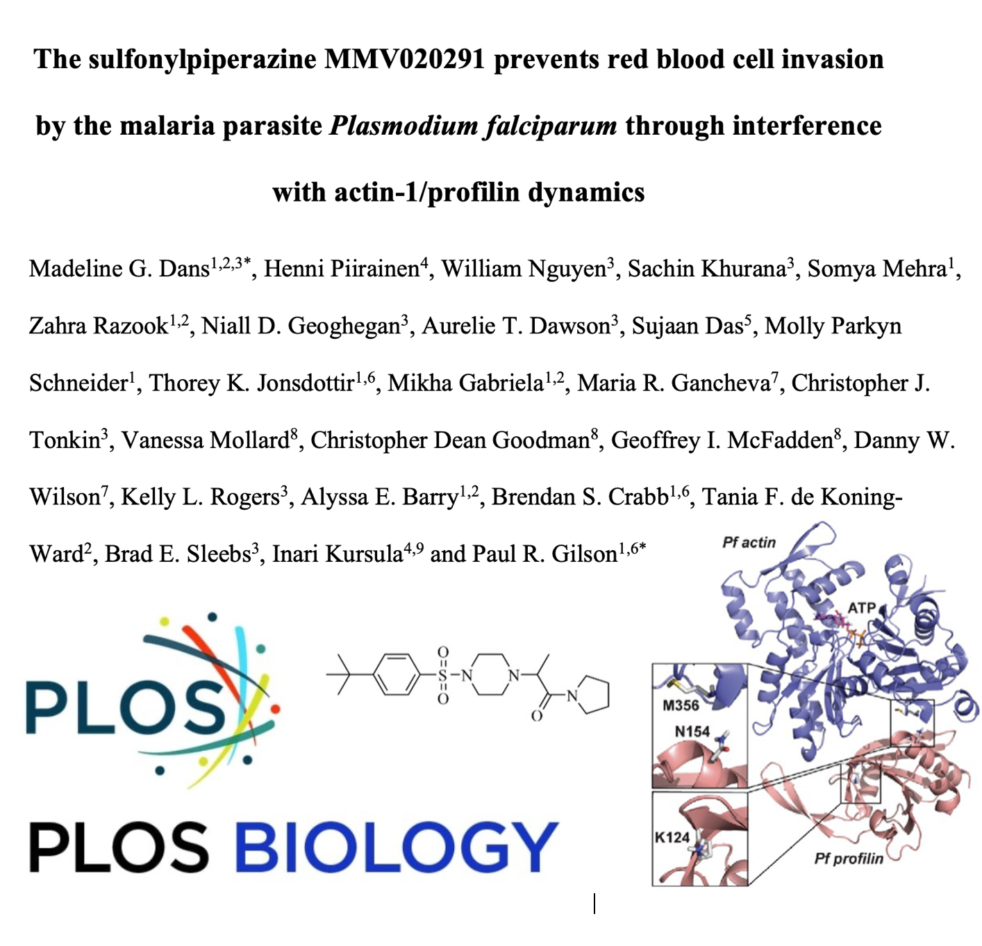 Henni's paper accepted in PLoS Biology | Molecular mechanisms of ...