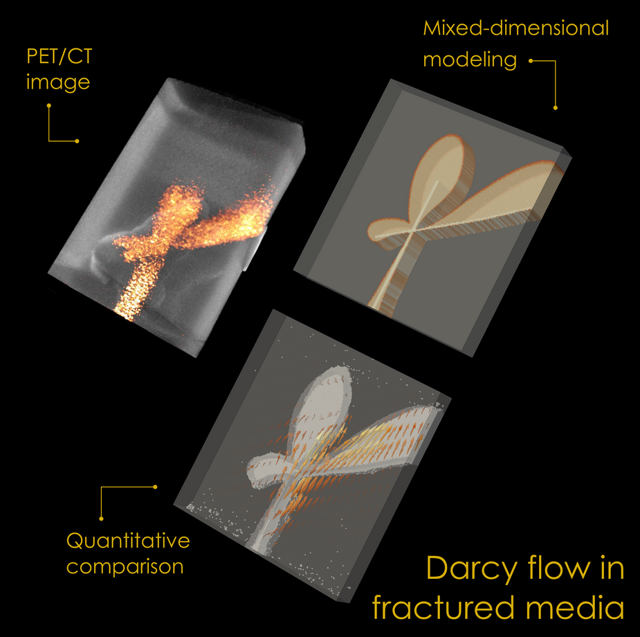 High Fidelity Experimental Model Verification For Flow In Fractured Porous Media Porous Media
