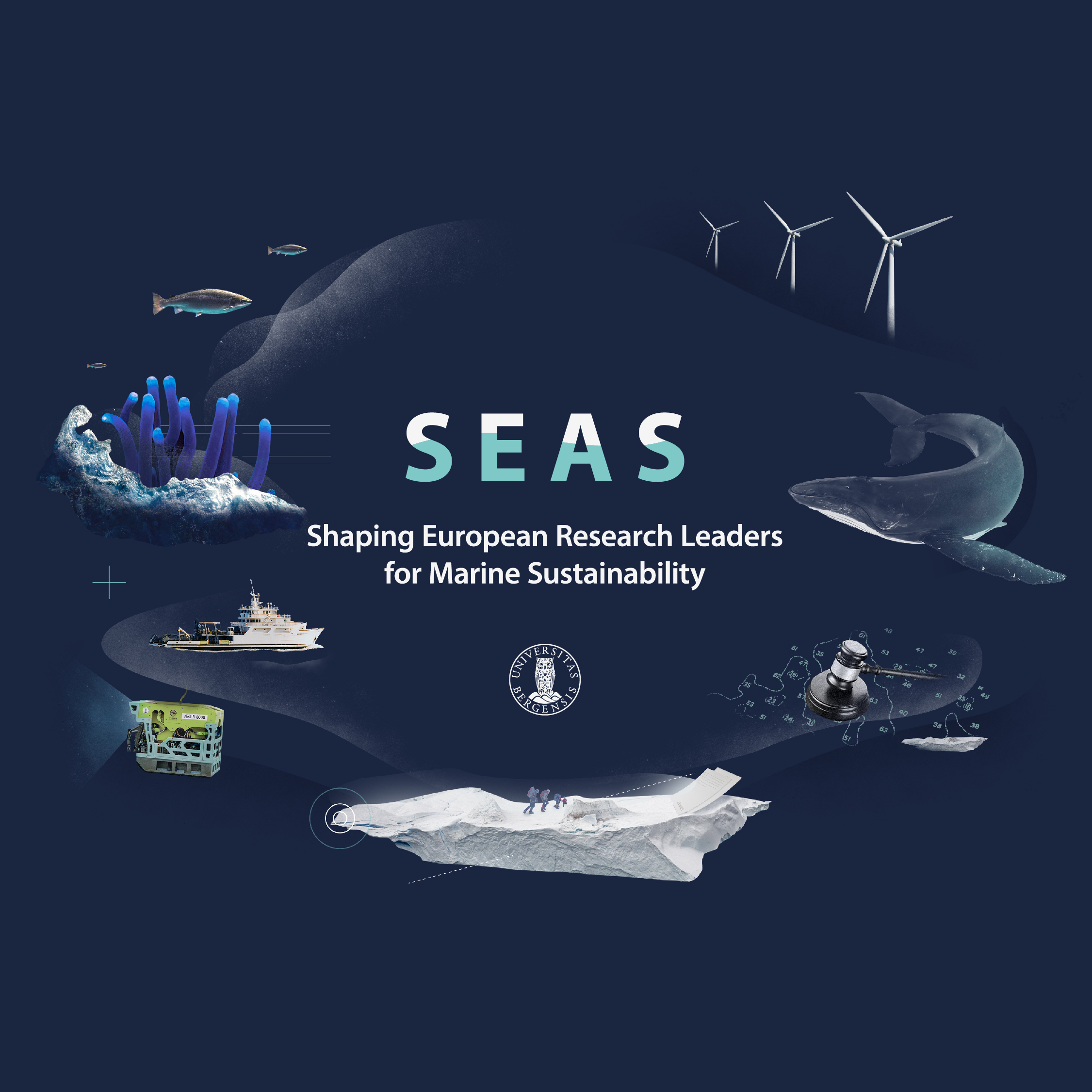 UiBs SEAS-program anerkjent av FNs havforskningstiår | Aktuelt | UiB
