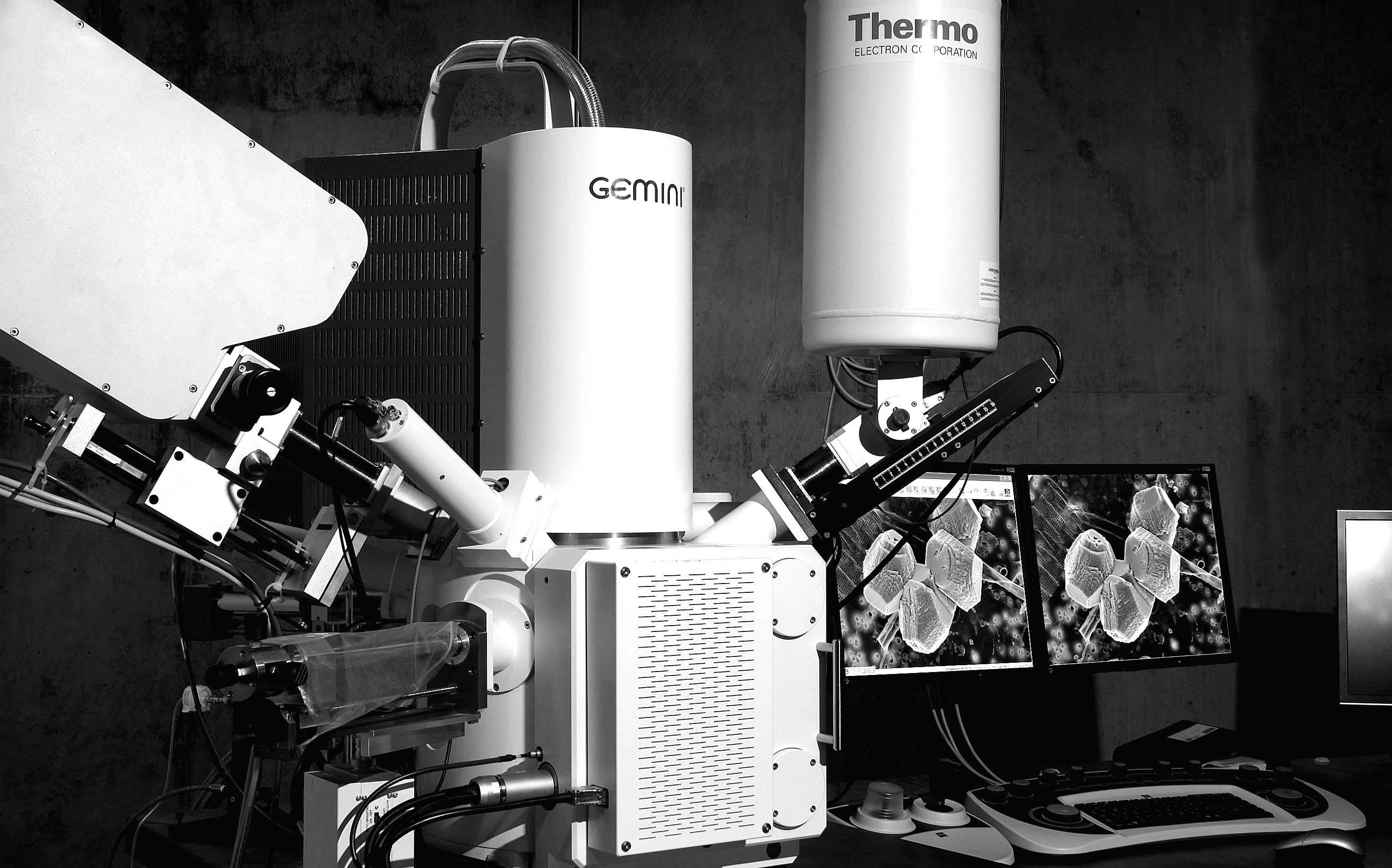 Scanning Electron Microscope | Department of Earth Science | UiB