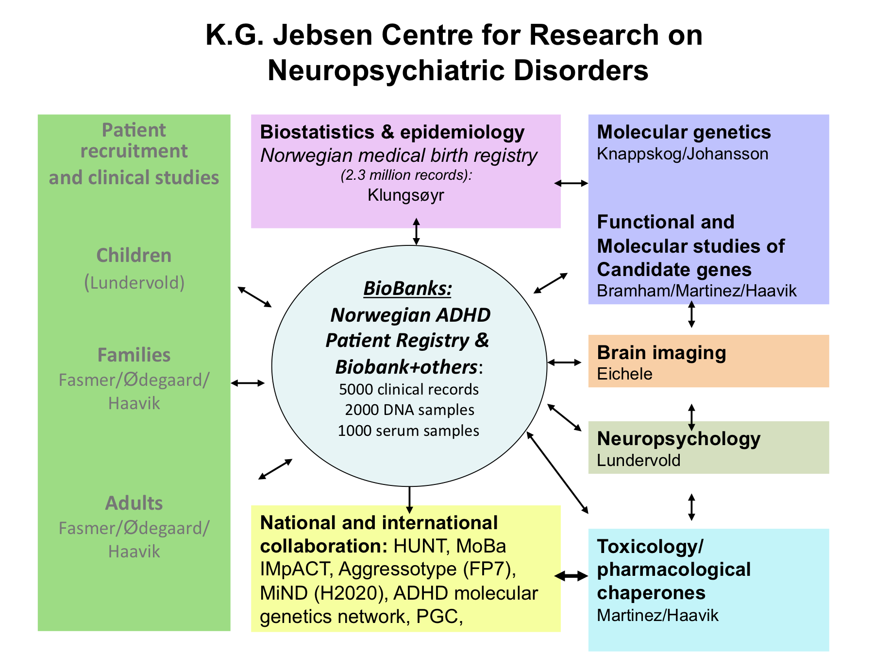 Partners and Group Leaders | Center for Neuropsychiatric Disorders | UiB