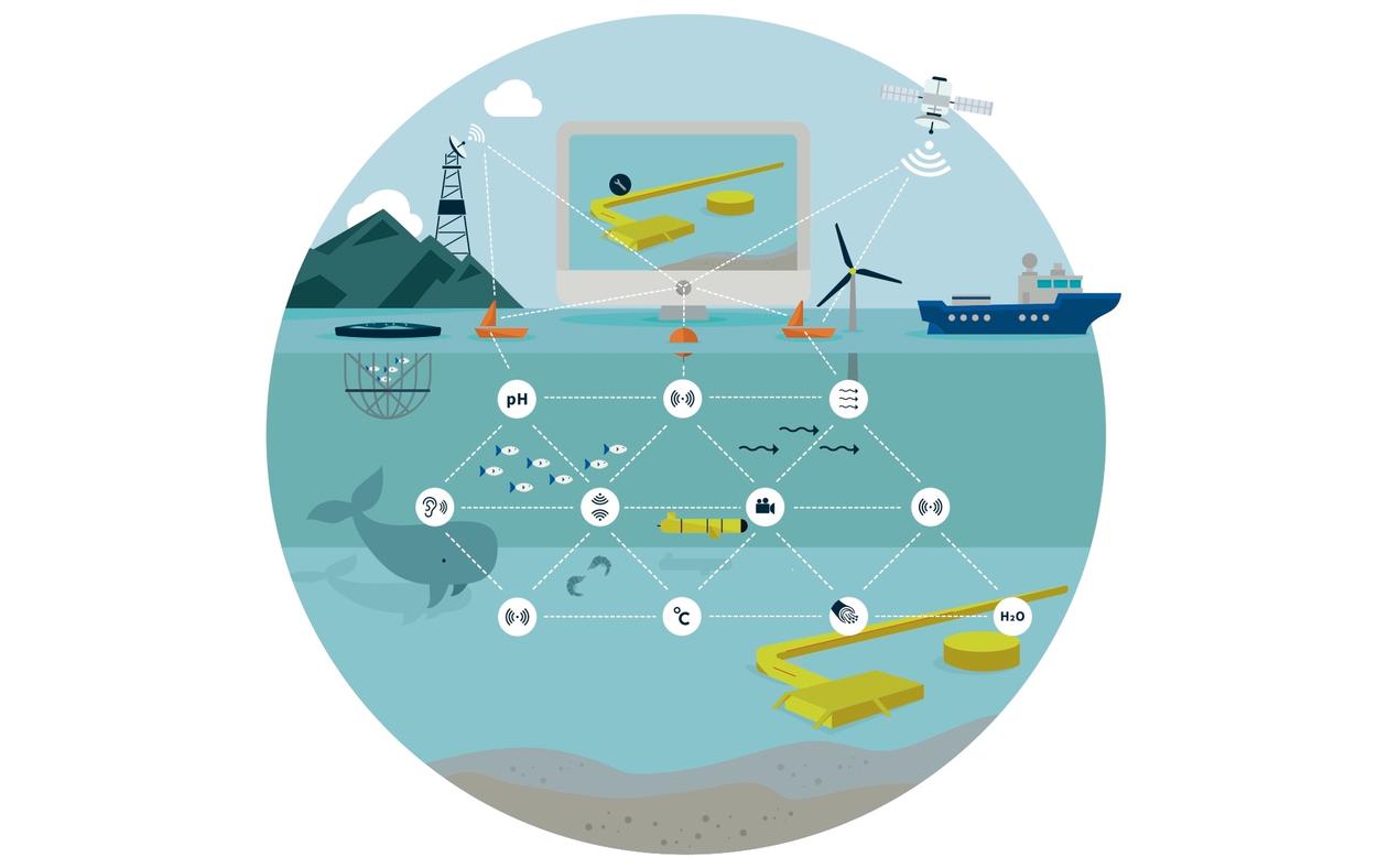 SmartOcean Project Wins SFI Grant | Department of Physics and ...