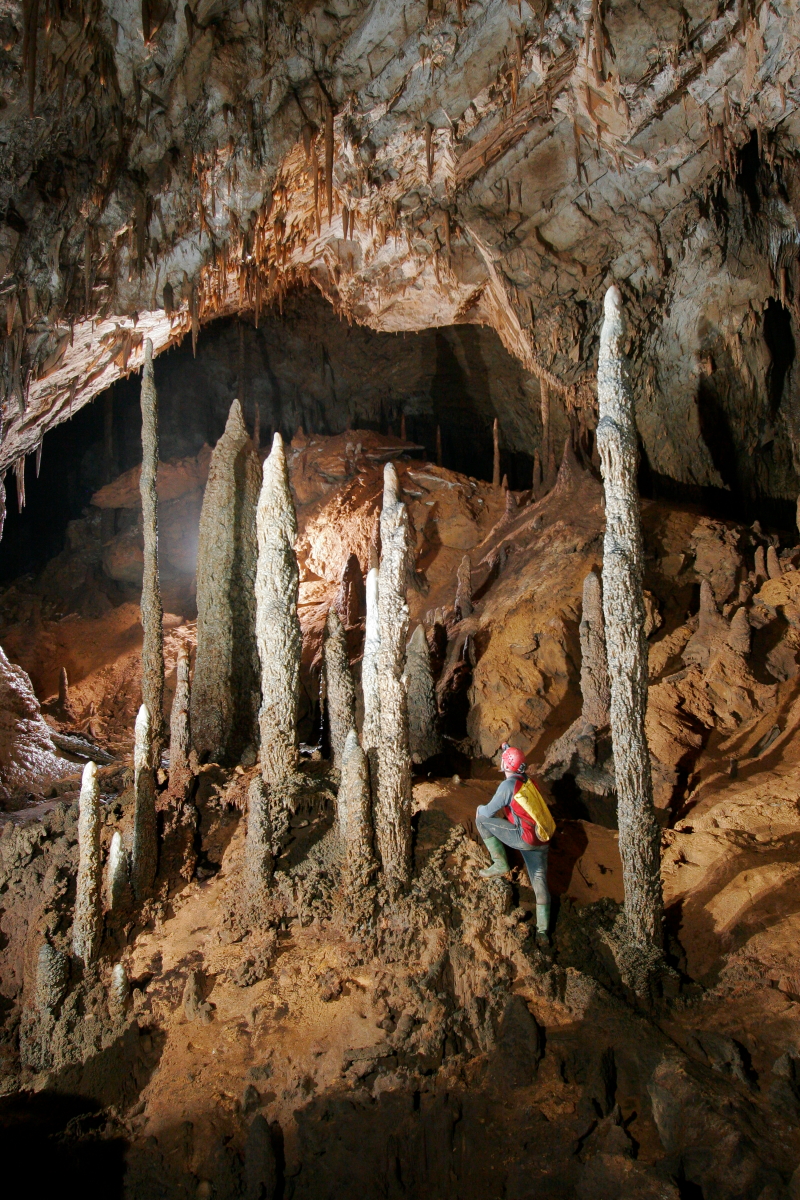 A tropical view on major global climate change during a glacial ...