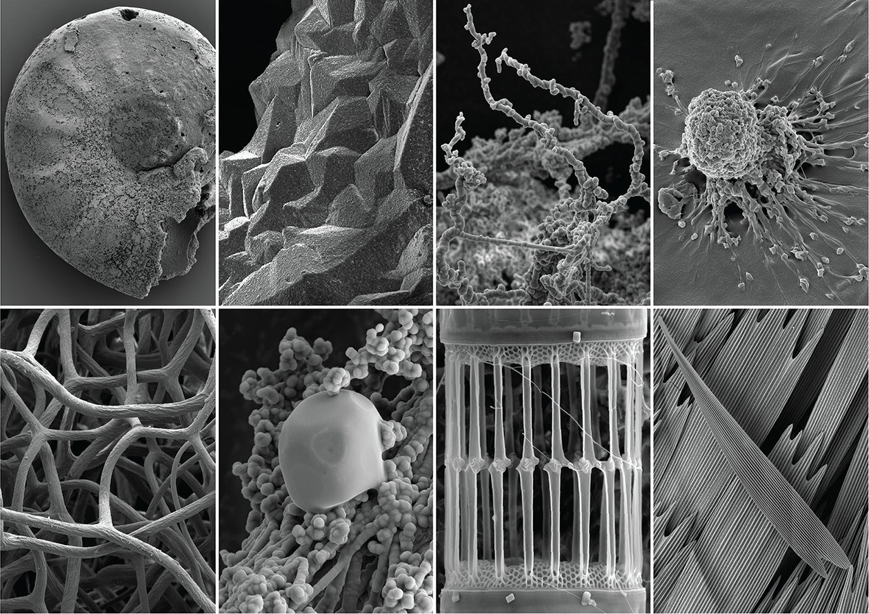 Imaging the sample surface | ELMILAB | UiB