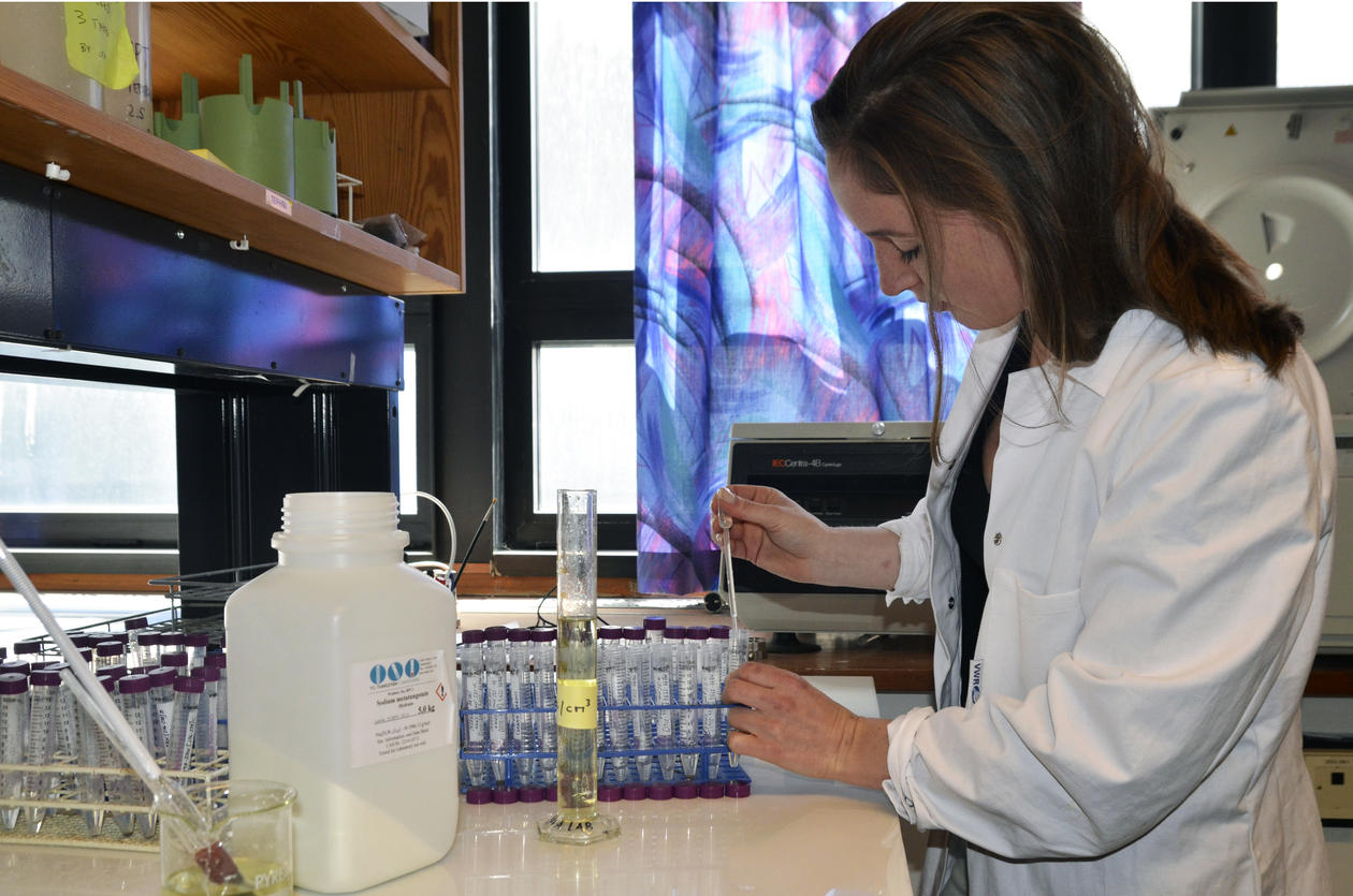 Tephra-laboratory | Department of Earth Science | UiB