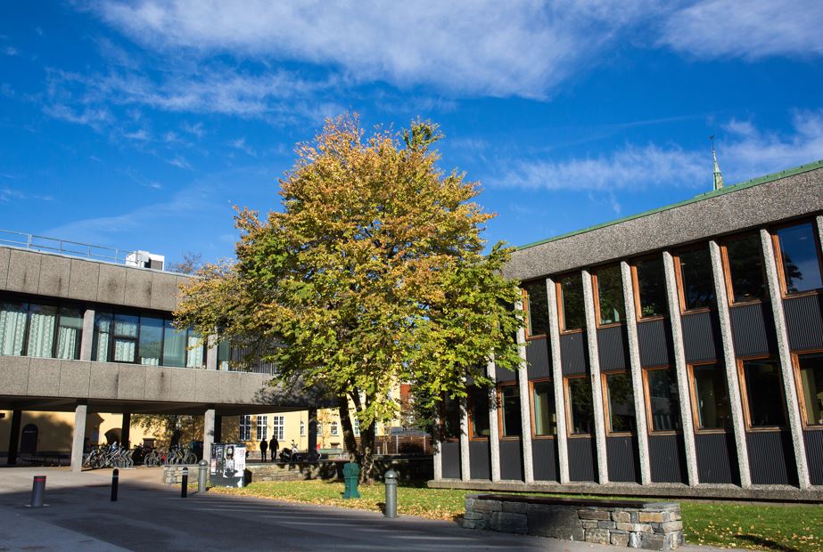 International employees (and their partners) | Norwegian Language ...