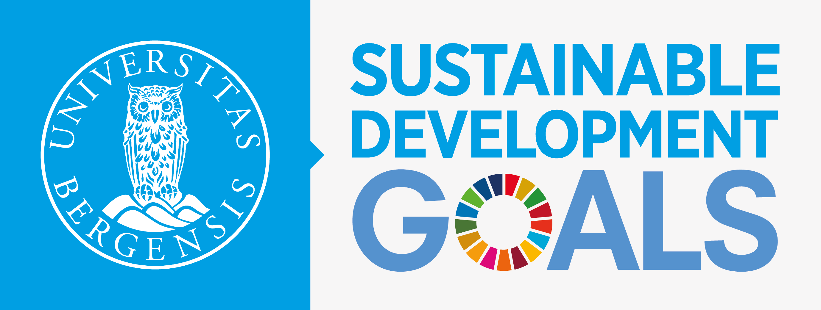 UiB among top 100 SDG-oriented universities | News | UiB