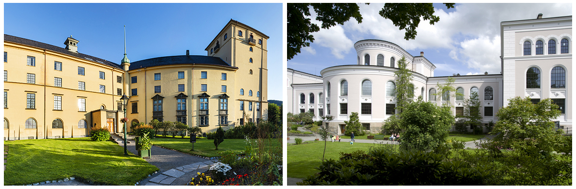 University Museum of Bergen | University of Bergen