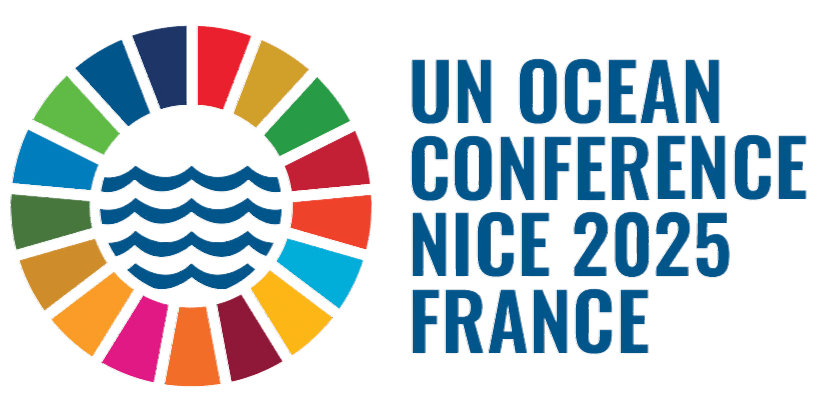 Challenges for effective communication of the UN Ocean Decade to ...